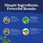 saw palmetto for prostate health