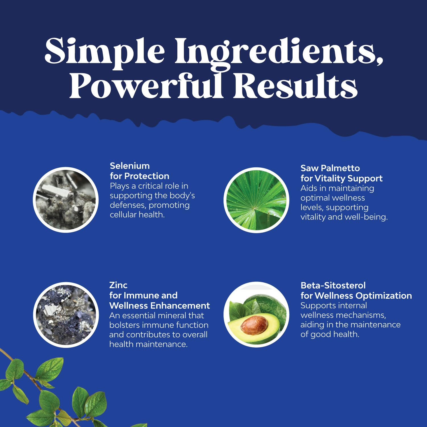 saw palmetto for prostate health