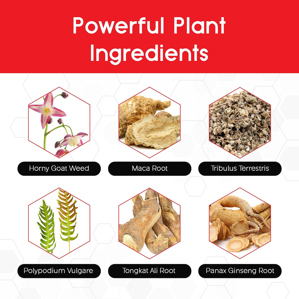 Saw Palmetto for prostate health