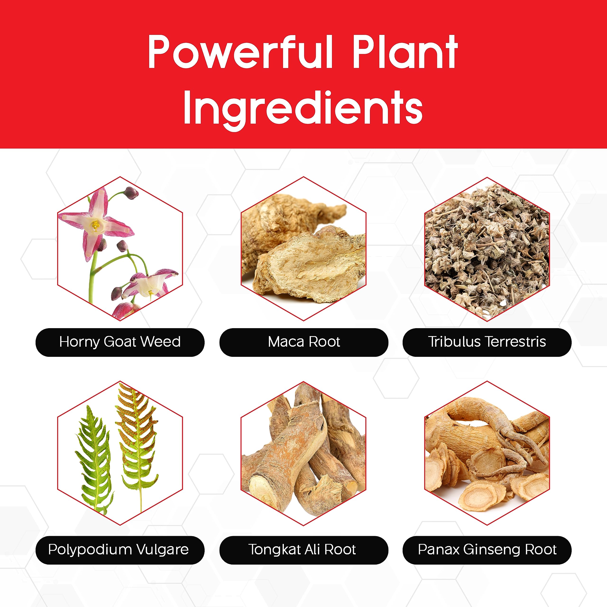 Saw Palmetto for prostate health