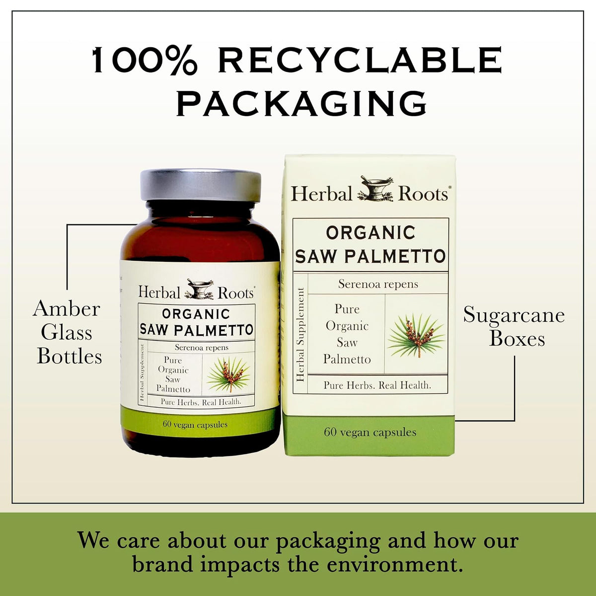 saw palmetto for prostate support