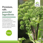 saw palmetto for prostate wellness
