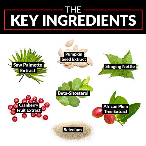 saw palmetto for urinary function