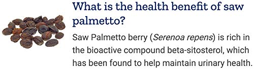 saw palmetto for urinary health