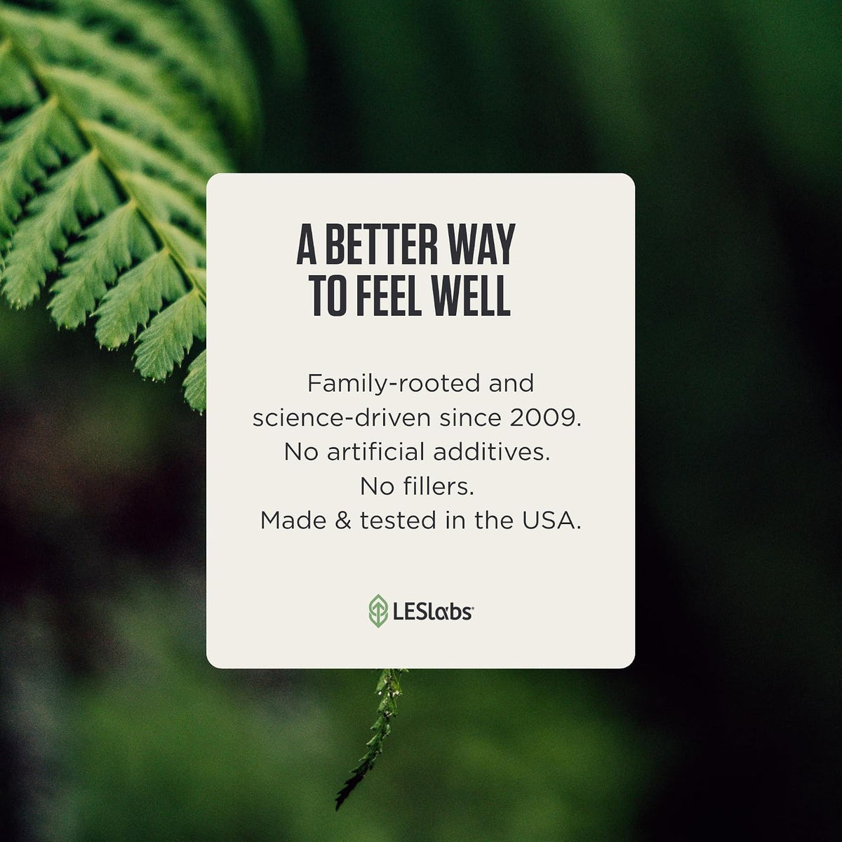 saw palmetto for urinary health