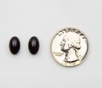 saw palmetto for urinary support