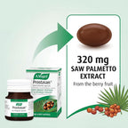 saw palmetto for urinary wellness