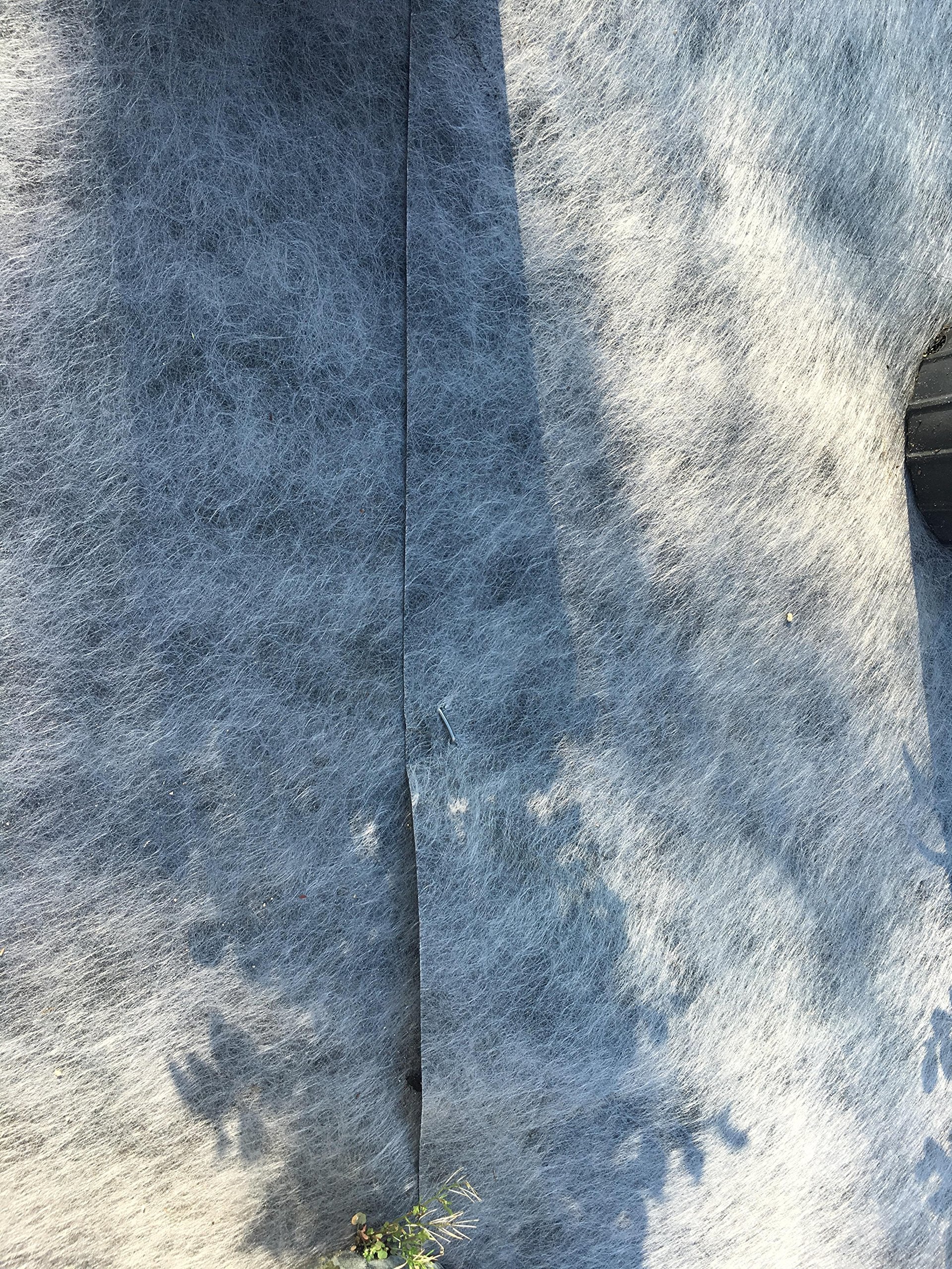 saw palmetto interactions explained