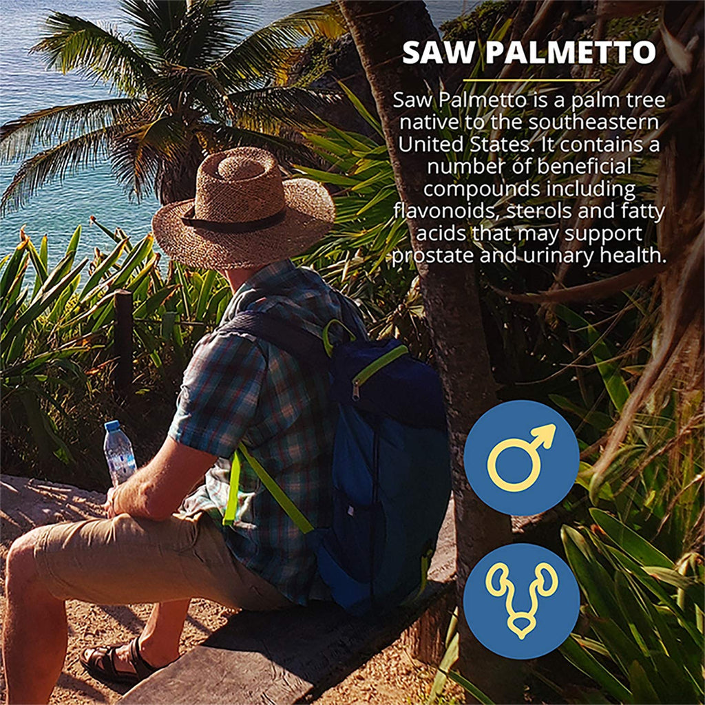 saw palmetto interactions with other herbs