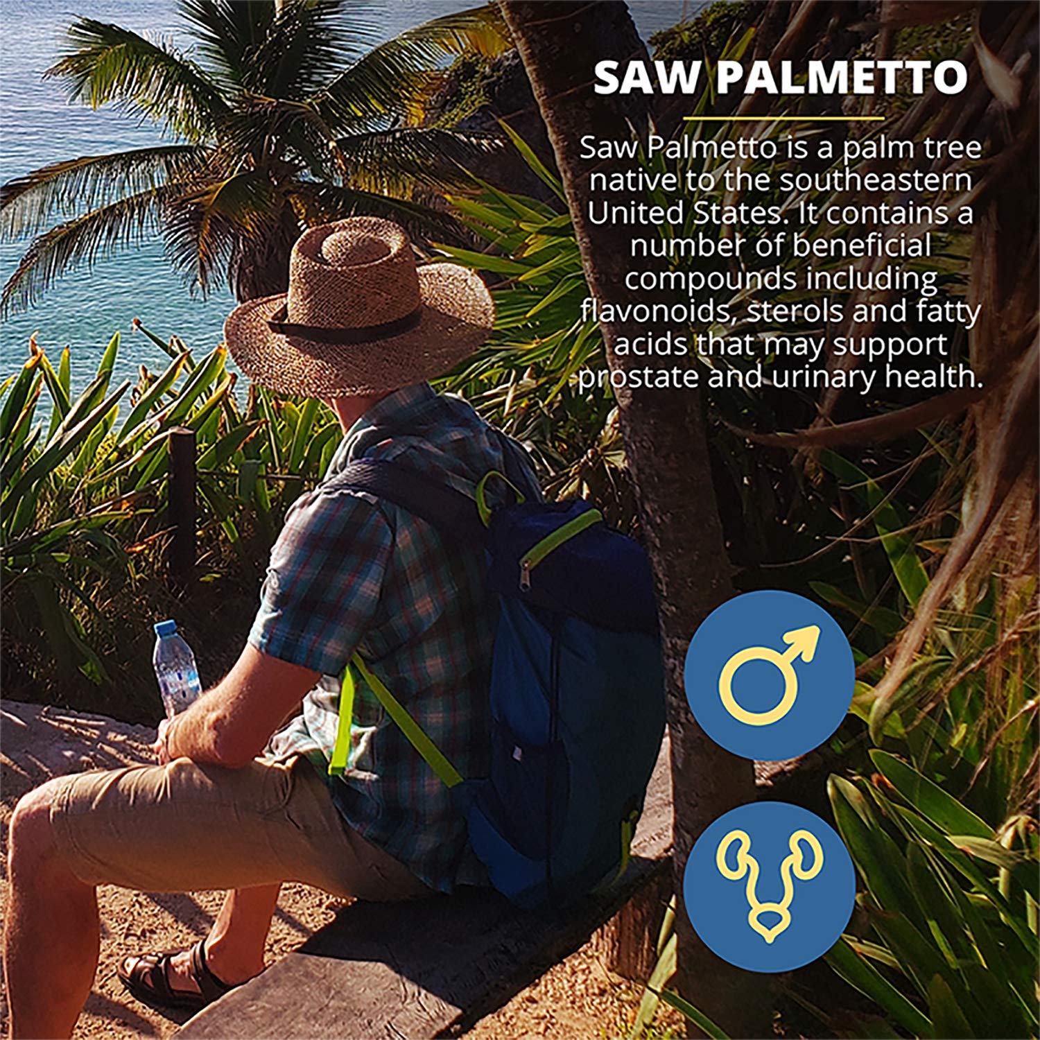 saw palmetto interactions with other herbs