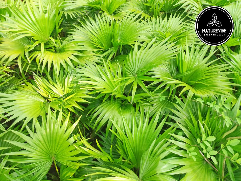 saw palmetto powder for hair growth