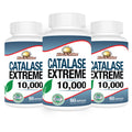 saw palmetto supplement for hair growth