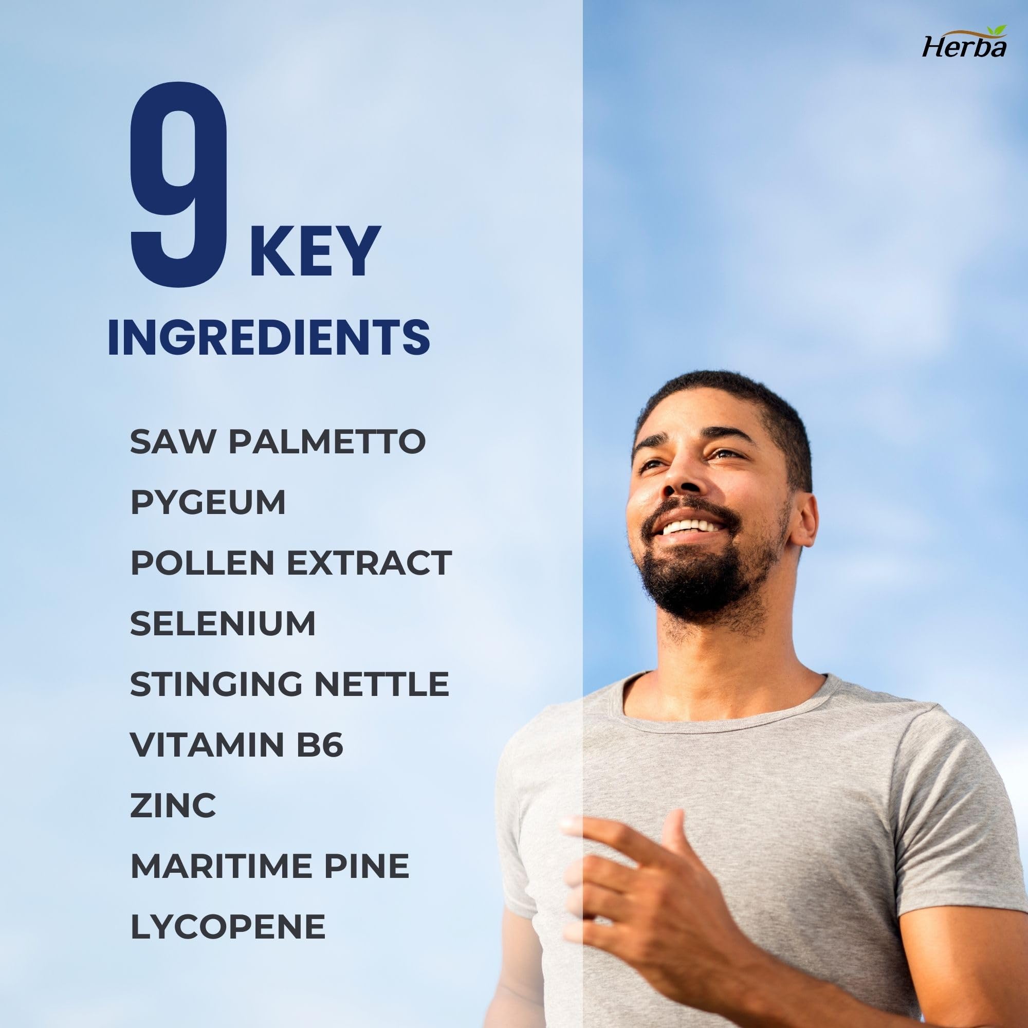 saw palmetto tree extract advantages