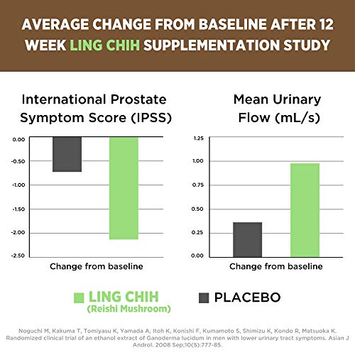 saw palmetto tree extract advantages