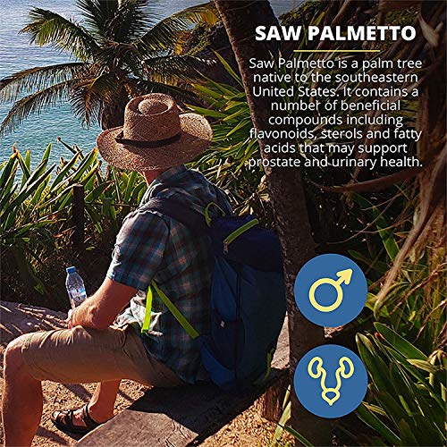saw palmetto tree extract benefits