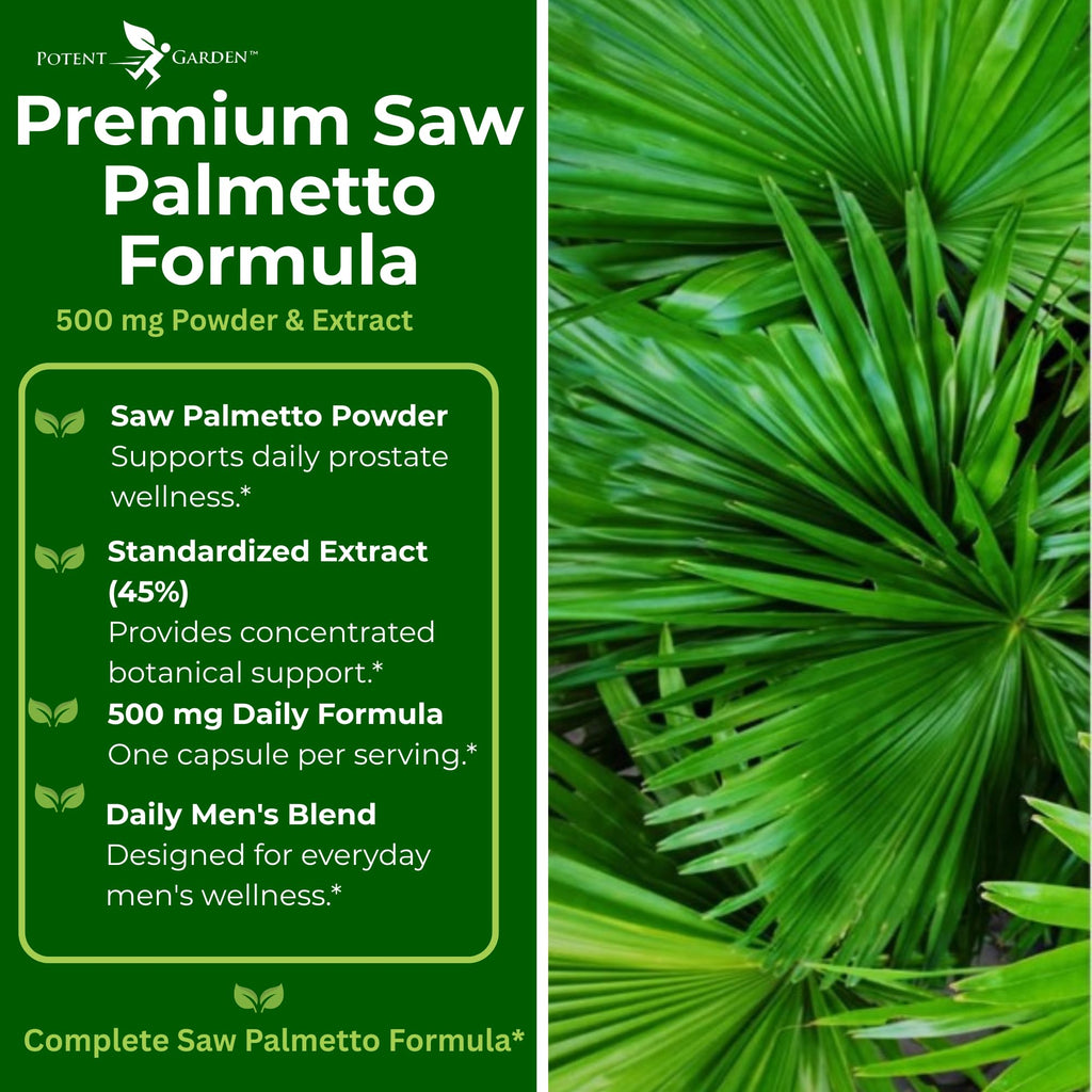 saw palmetto tree extract for wellness