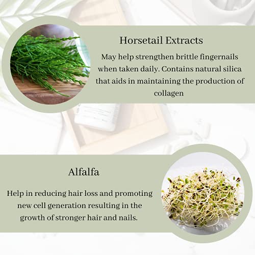saw palmetto tree extract for wellness