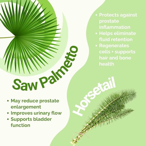 saw palmetto with propolis benefits