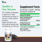Sayan chaga for enhanced mental clarity
