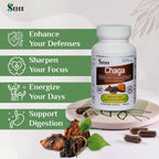 Sayan chaga mushroom 420 mg dosage