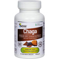 Sayan chaga mushroom health benefits
