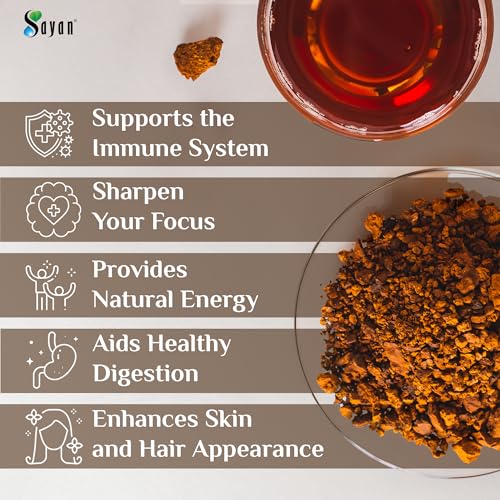 Sayan chaga powder for holistic health