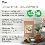 Sayan chaga powder for immunity