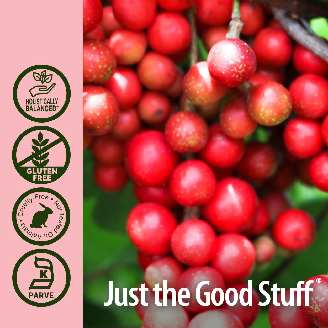 Schisandra berry antioxidant properties