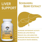 Schisandra capsules for immune support