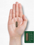 Schisandra capsules for stress relief