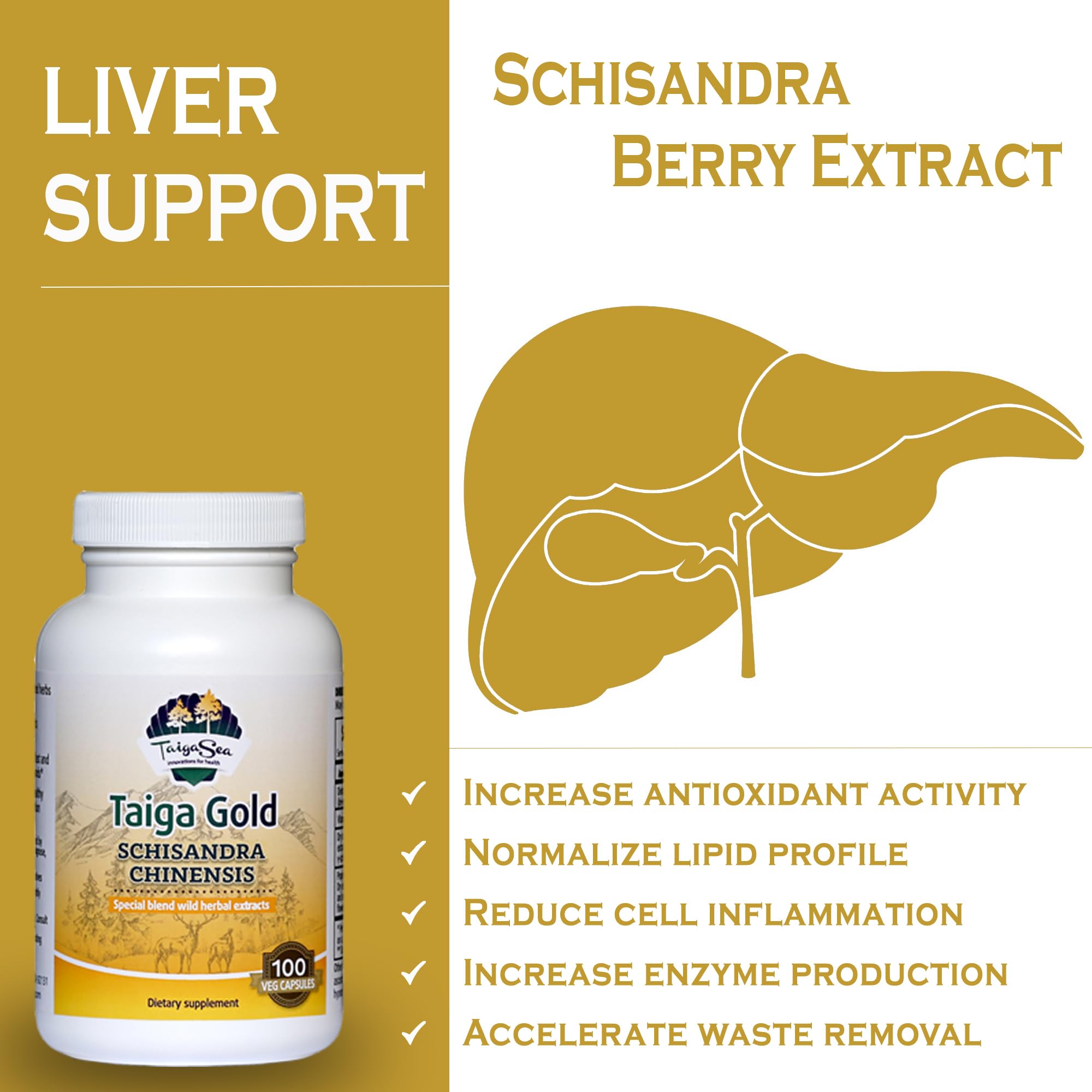 Schisandra ginseng for daily vitality