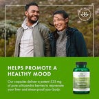 Schizandra Berries capsules for overall wellness