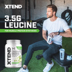 scivation bcaa powder supports lean muscle