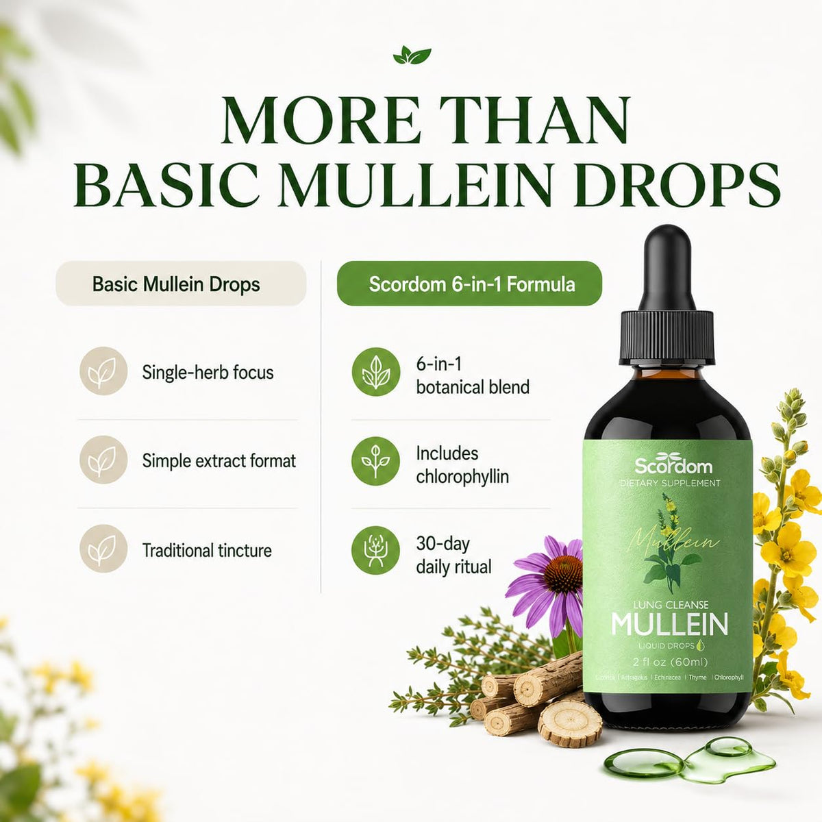 SCORDOM Mullein tincture 60 ml bottle