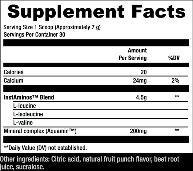 Sculpt Nation amino acids for endurance