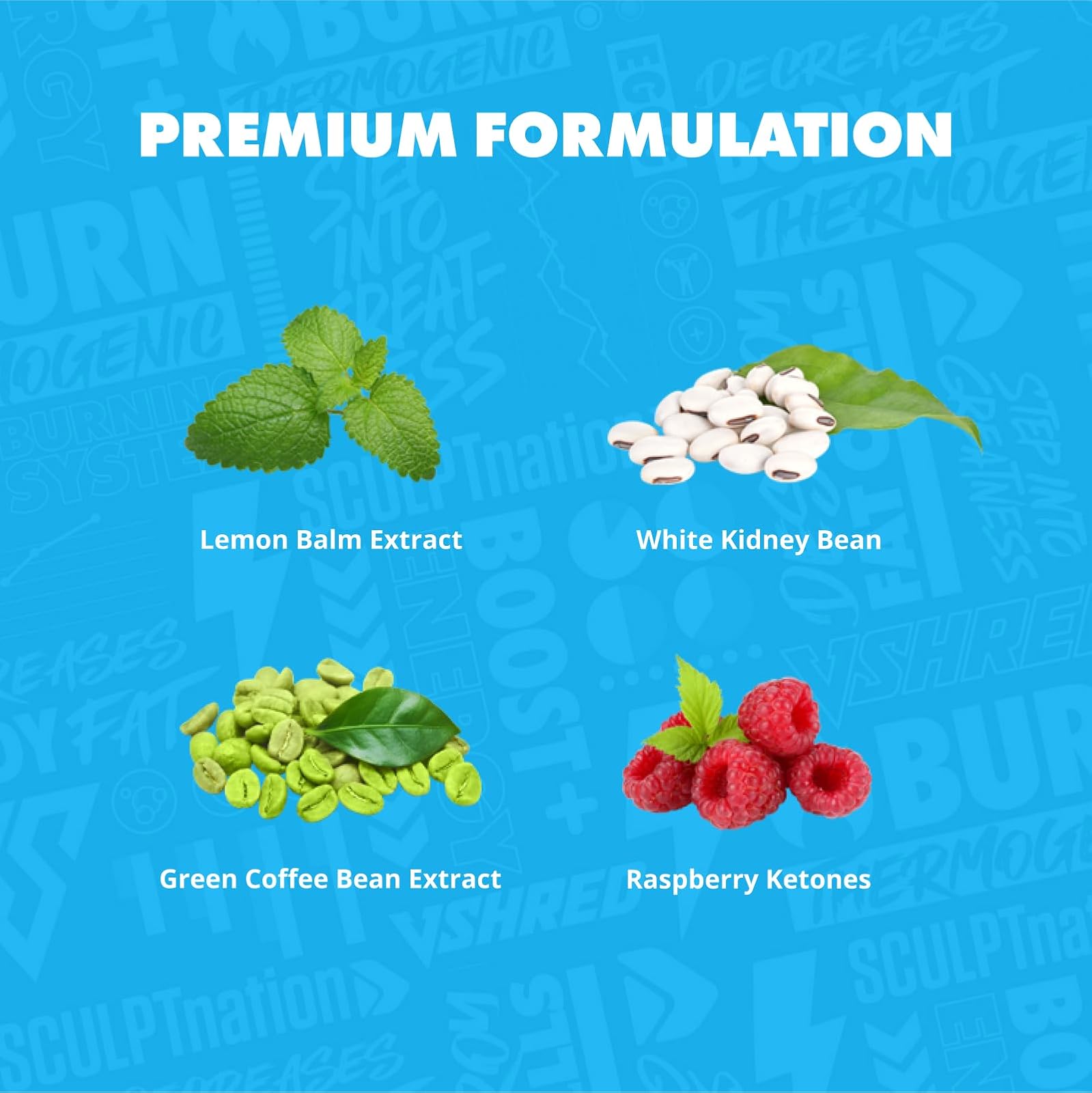 Sculpt Nation weight management solution