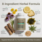 Sculptique capsules for enhanced vitality