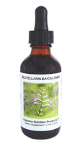 Scutellaria Baicalensis tincture benefits