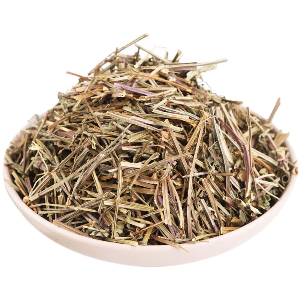 Scutellaria Barbata herbal supplement benefits