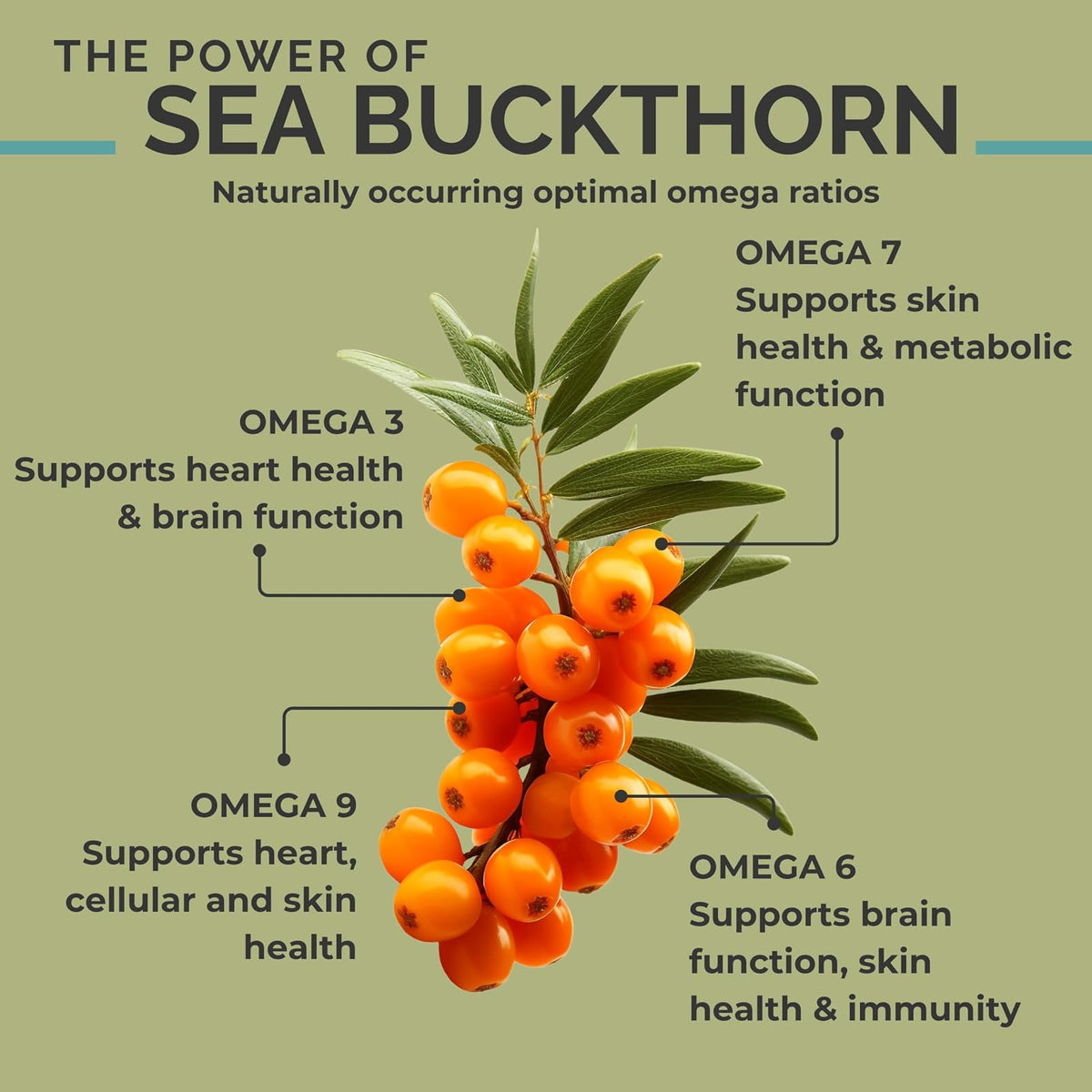 Sea Buckthorn Oil for immune support