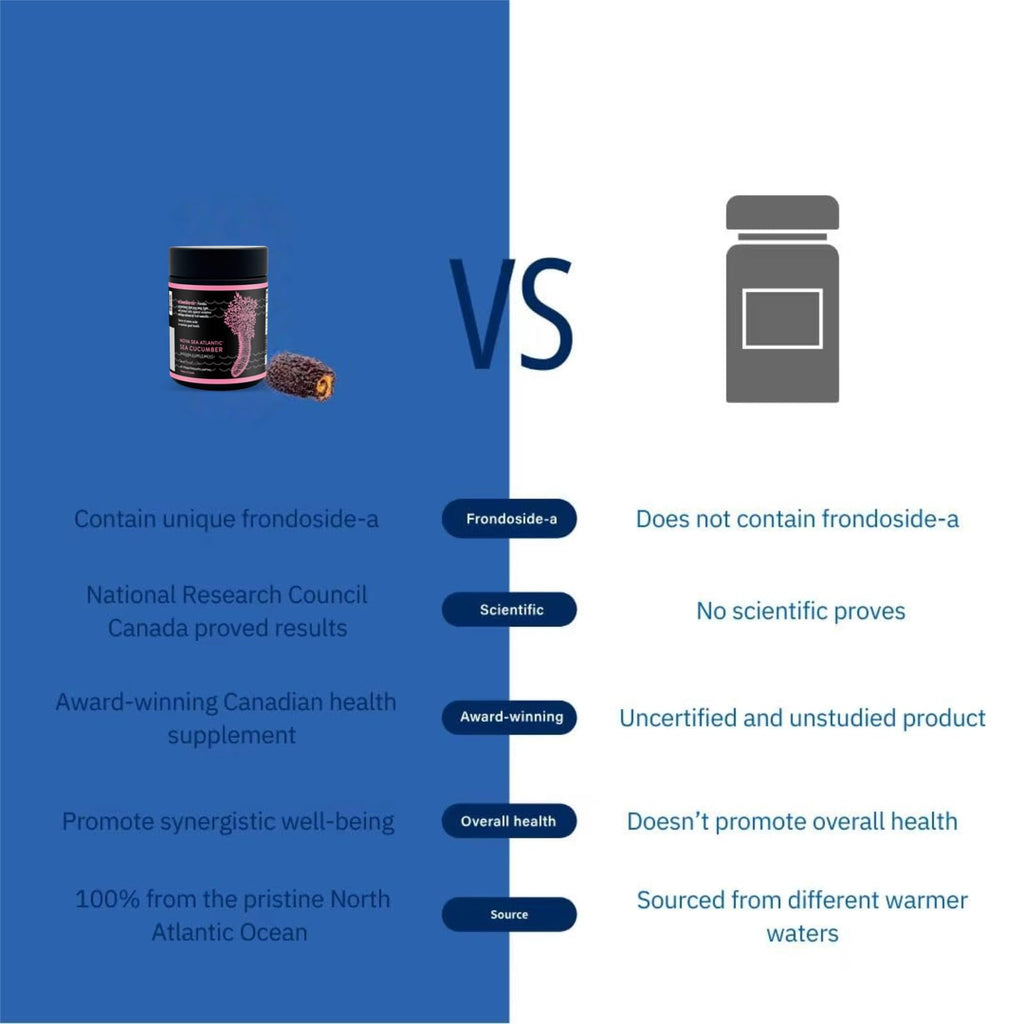 sea cucumber capsules for daily nutrition