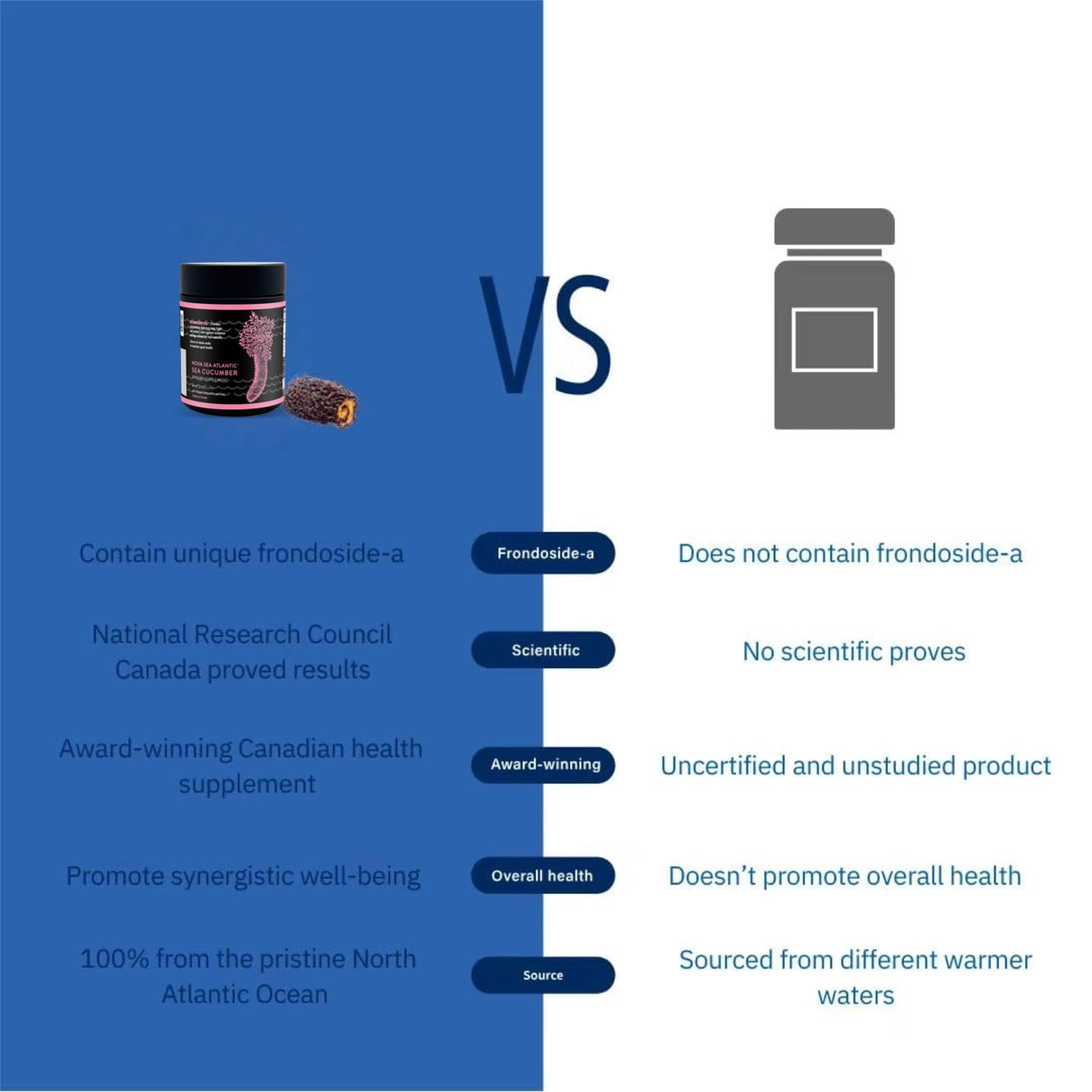 sea cucumber capsules for daily nutrition