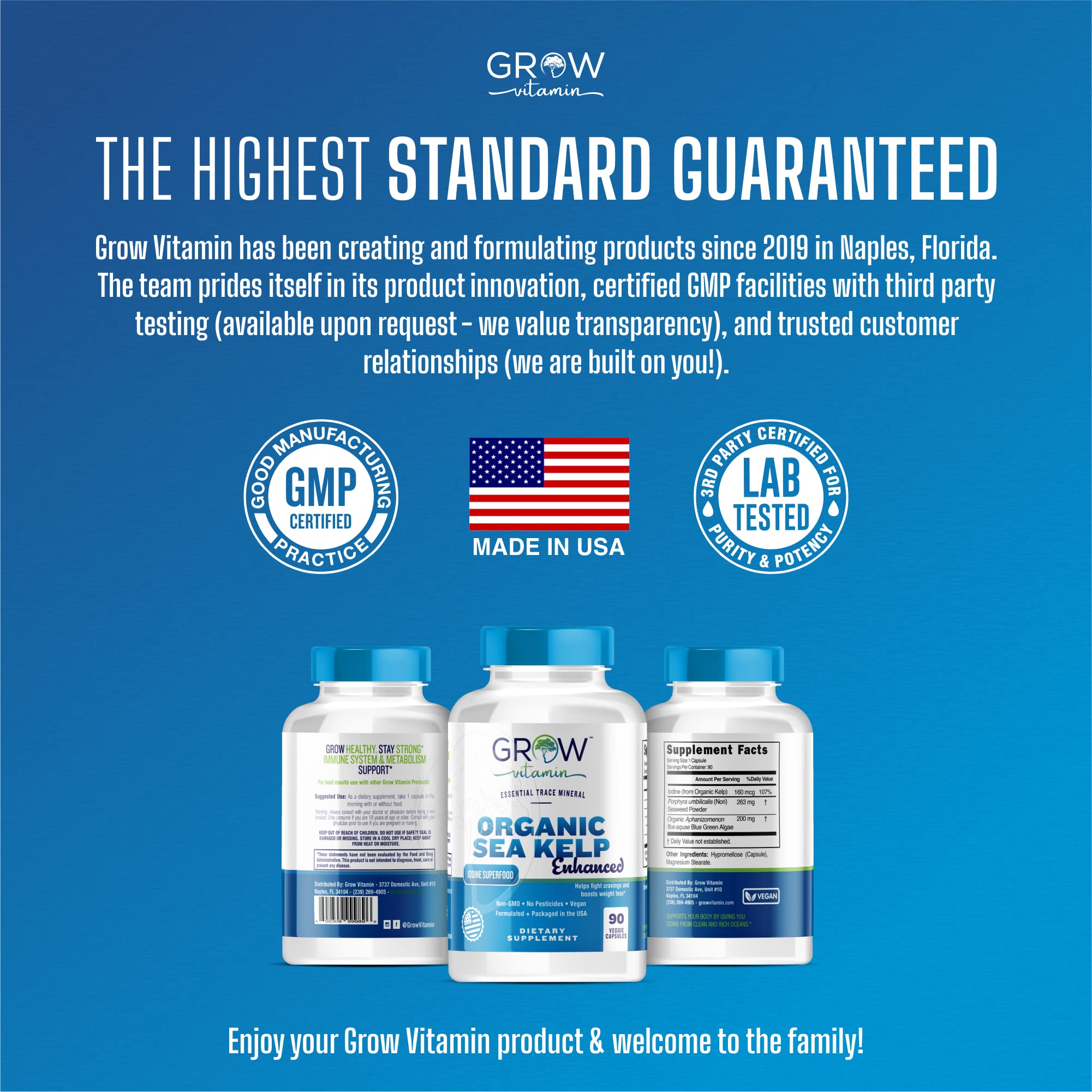 sea kelp capsules for daily nutrition