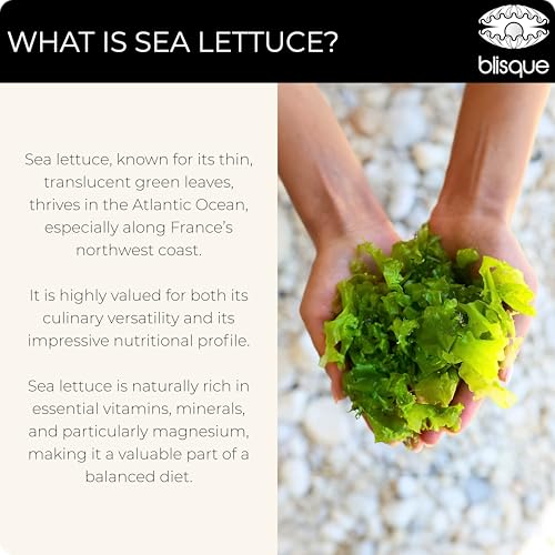 Sea lettuce magnesium for holistic health