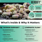 Sea moss and bladderwrack benefits