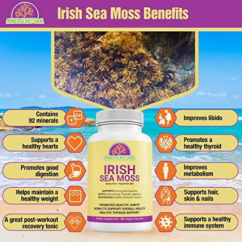 sea moss and bladderwrack benefits