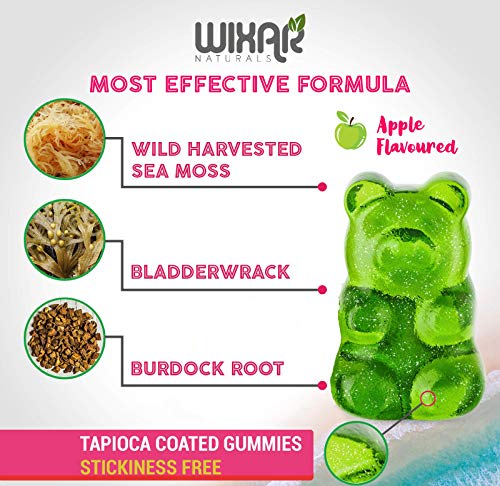 sea moss and bladderwrack for holistic health
