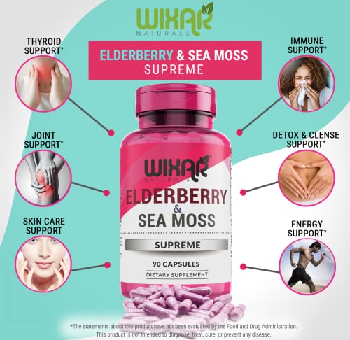 sea moss and elderberry health benefits