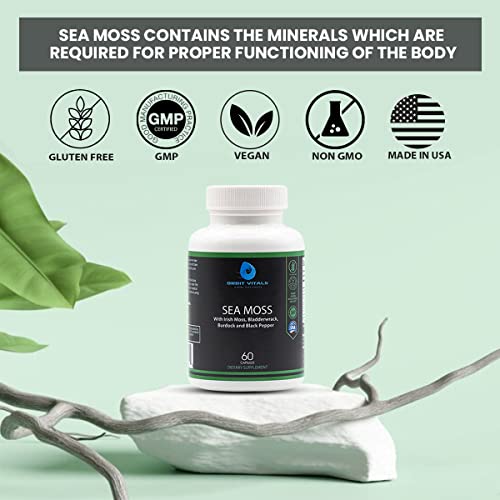 Sea Moss blend for vegan lifestyles