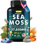 Sea Moss Capsule turmeric supplement